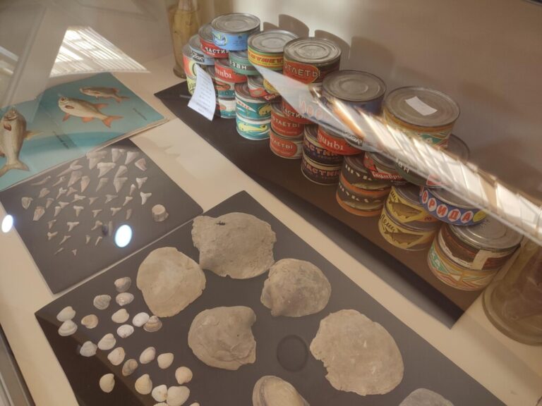 How to Visit Muynaq Ship Graveyard & The Dead Aral Sea