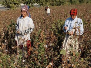 How to Visit Muynaq Ship Graveyard & The Dead Aral Sea