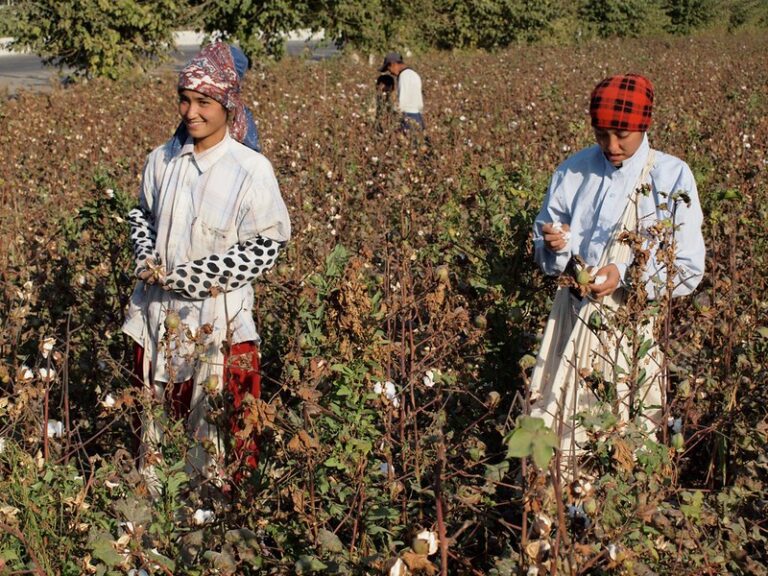 Muynaq Guide: The Ship Graveyard and the Dead Aral Sea in 2023