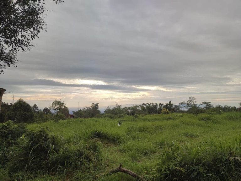 Rainy Season in Java: What to Expect?