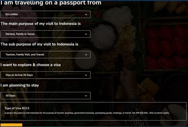 How to Apply & Extend Indonesia eVOA + Fix Problems