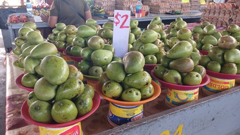 Money in Fiji: A Tourist Guide to ATMs, Cards and Exchange